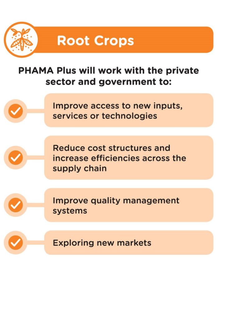 Root Crops – Welcome to PHAMA Plus Program